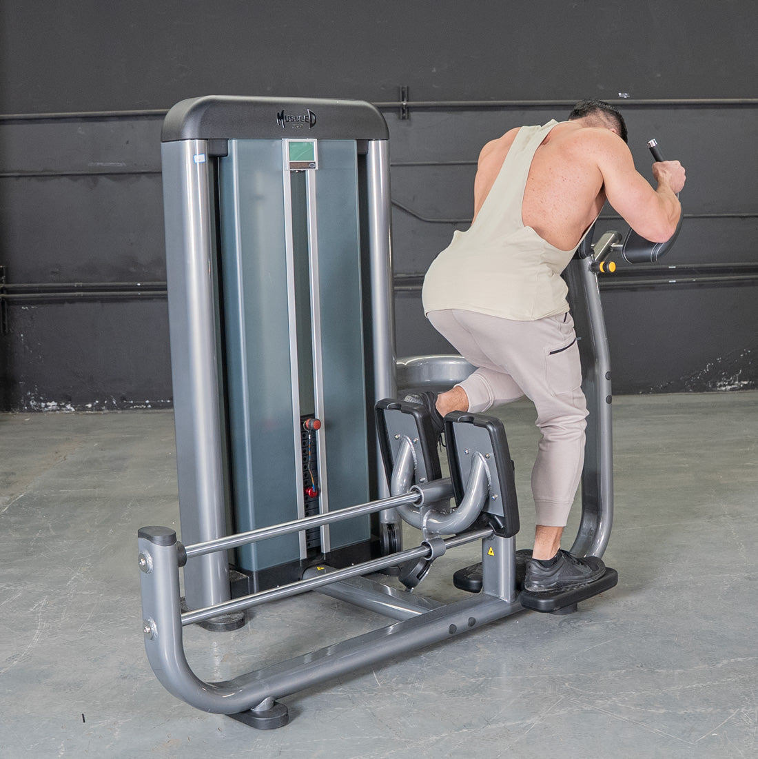 Elite Plus Glute Blaster | Commercial Gym Equipment – HoopsKing