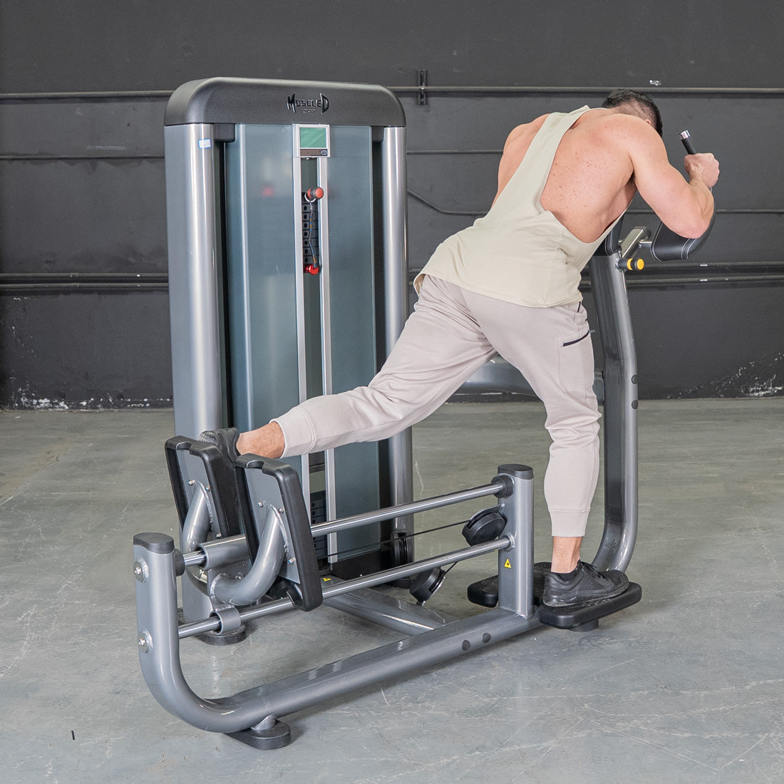 Elite Plus Glute Blaster | Commercial Gym Equipment – HoopsKing